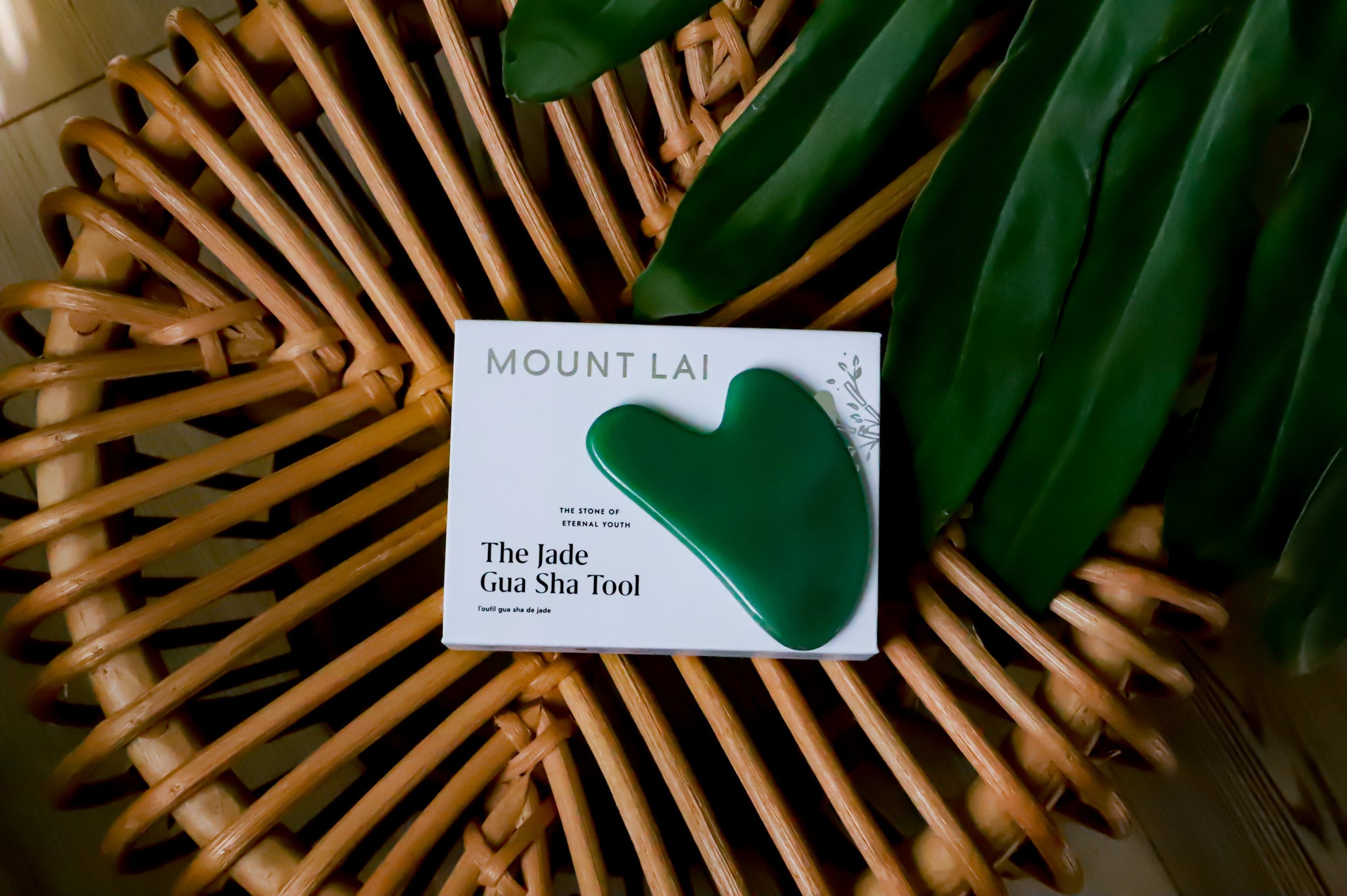 Shop All | Blue Room Wellness Spa